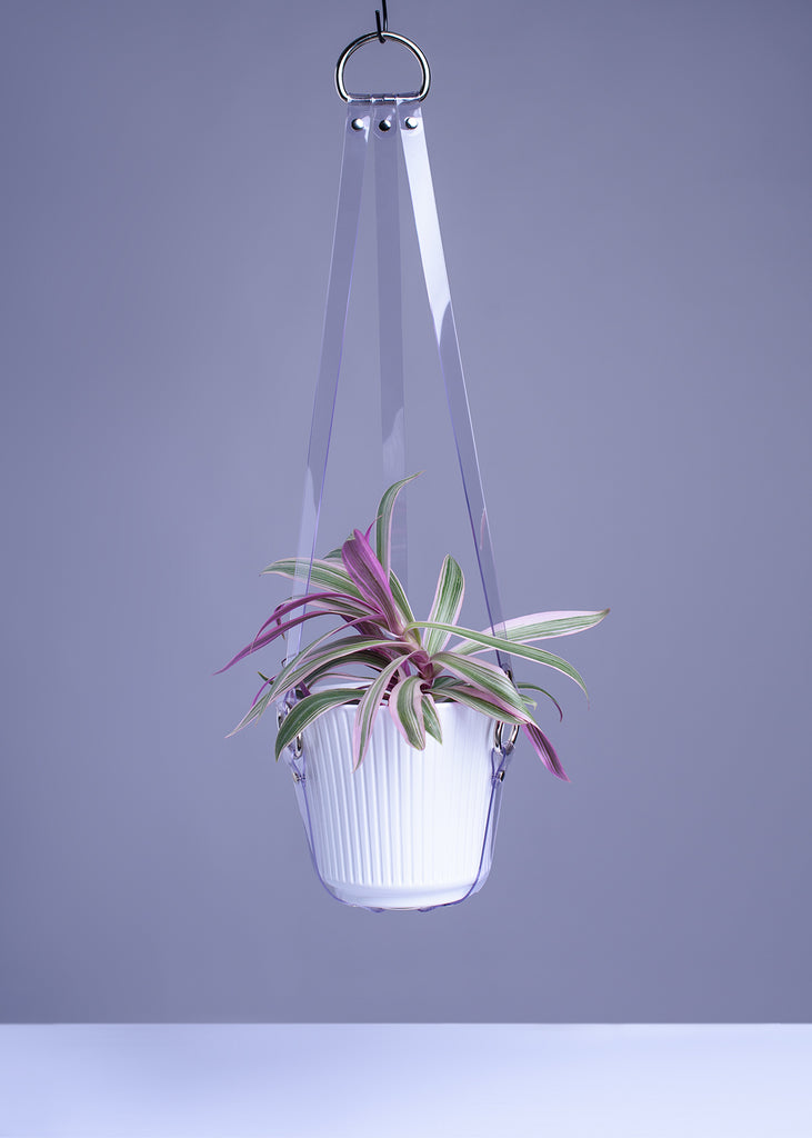 Harness Plant Hanger - Clear PVC – Apatico